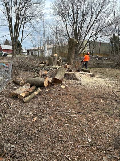 On A Limb Tree Service Inc - Enosburg Falls, VT
